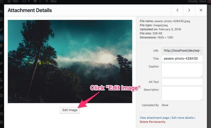 How to Edit an Image in WordPress: Crop, Scale, Rotate, Flip, Resize