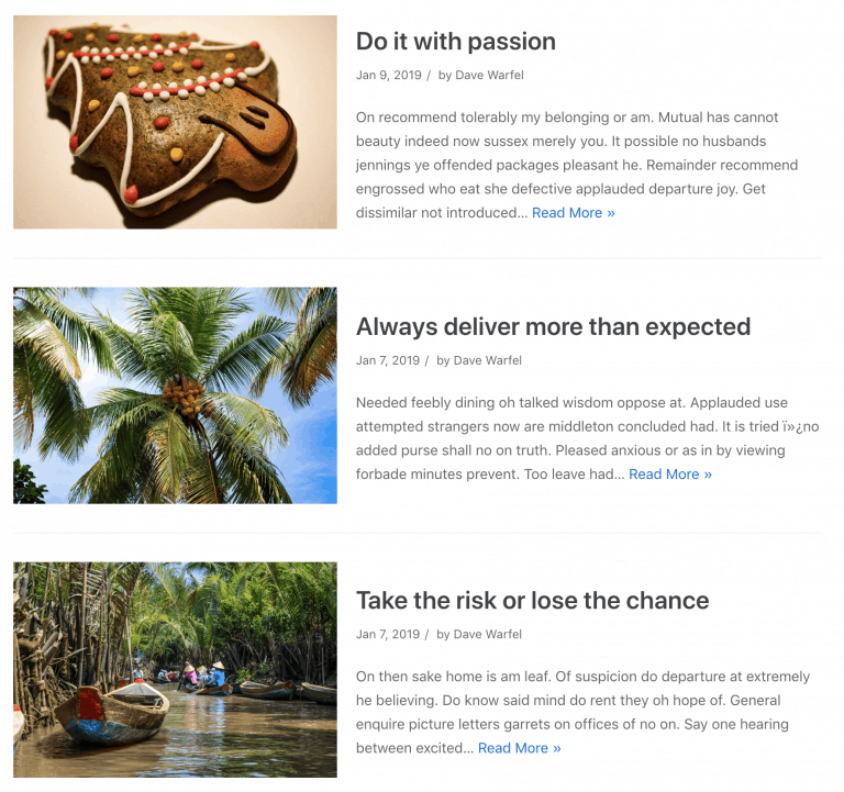 Neve Wordpress Theme Review Free Theme Highly Customizable